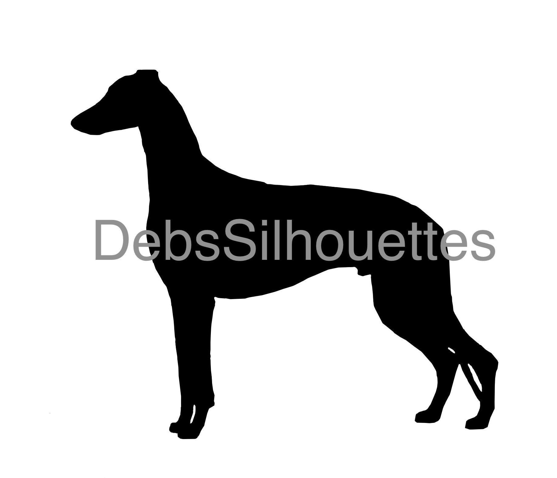 Silueta de galgo SVG PNG JPG pdf Sabueso gris - Etsy España