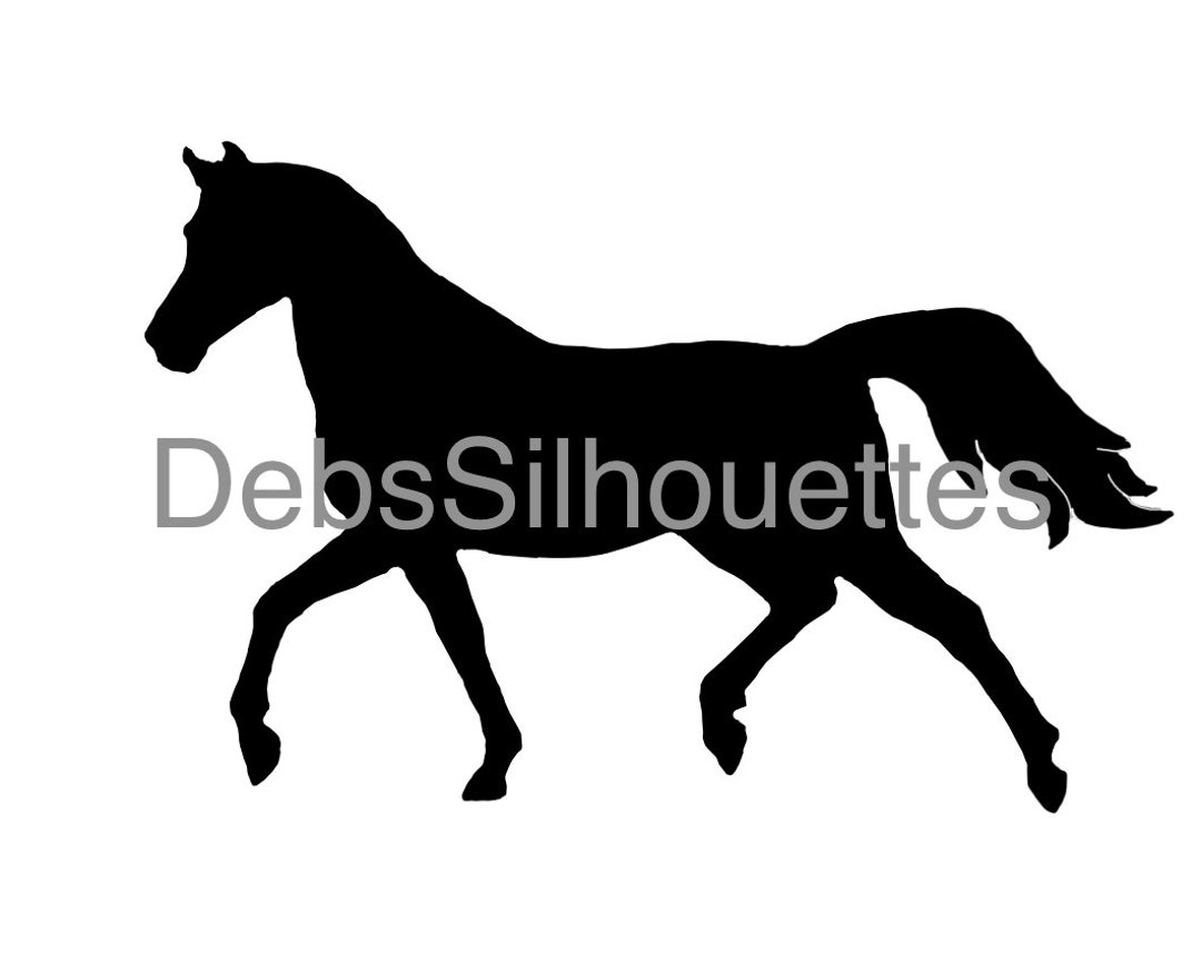 Arab / Arabian Horse Silhouette SVG, PNG, JPG, Pdf - Etsy