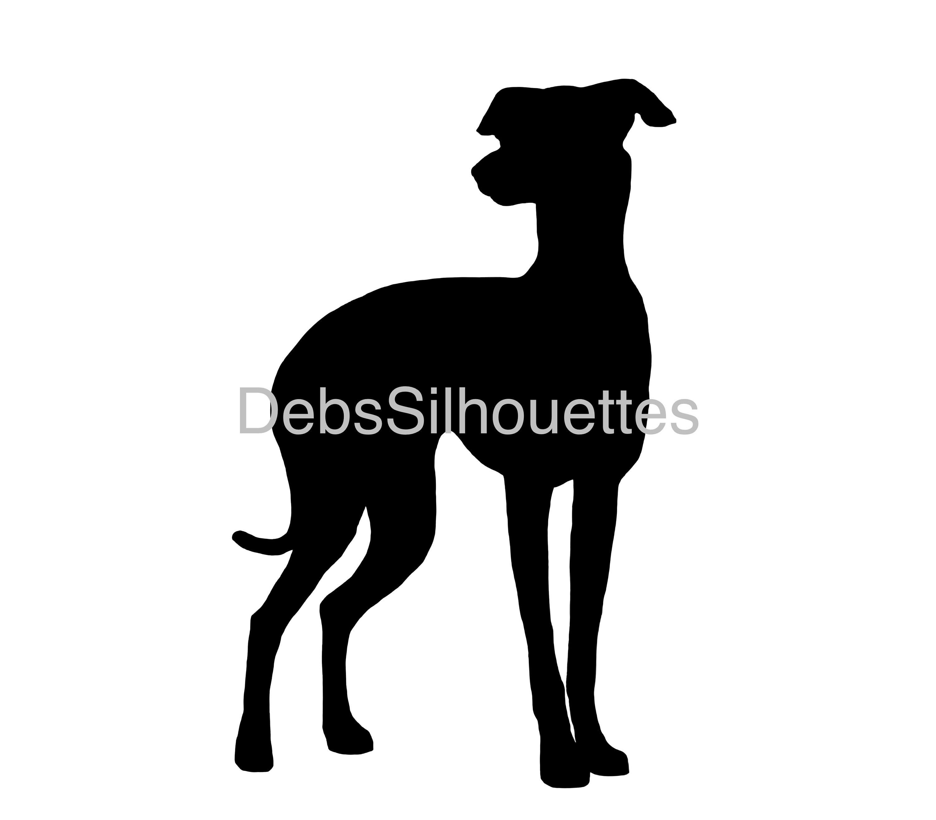 Silueta de galgo italiano SVG PNG JPG pdf - Etsy España