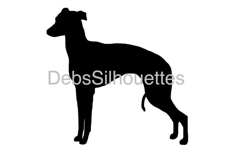 Silueta de galgo italiano SVG JPG PNG pdf - Etsy México