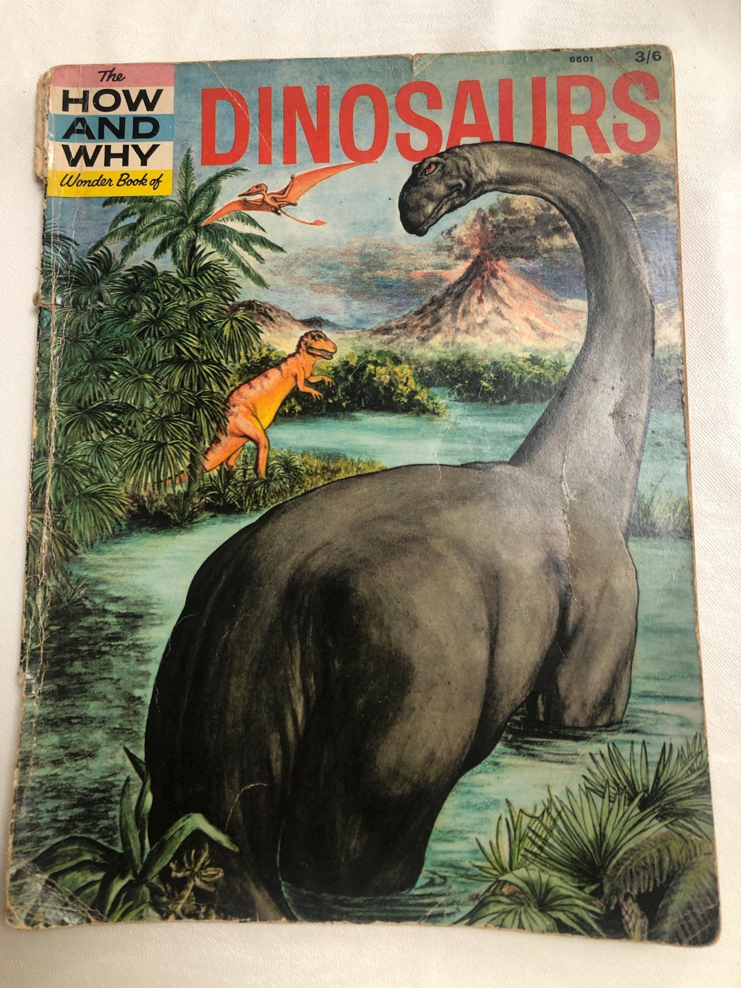 The How and Why Wonder Book of Dinosaurs Vintage 1960s - Etsy UK