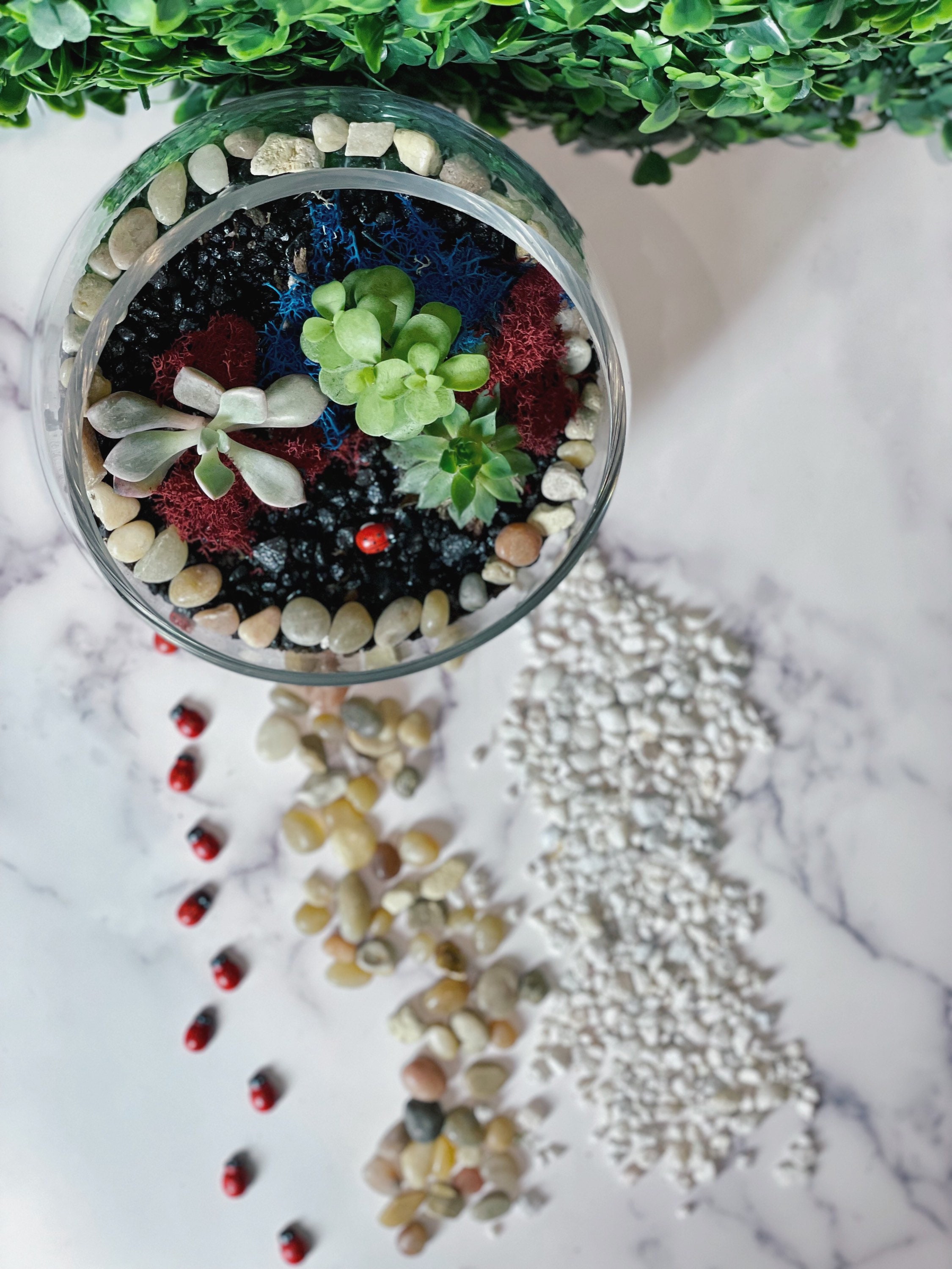 DIY Beautiful Slope Bowl Planter Kit DIY Terrarium Kit DIY - Etsy