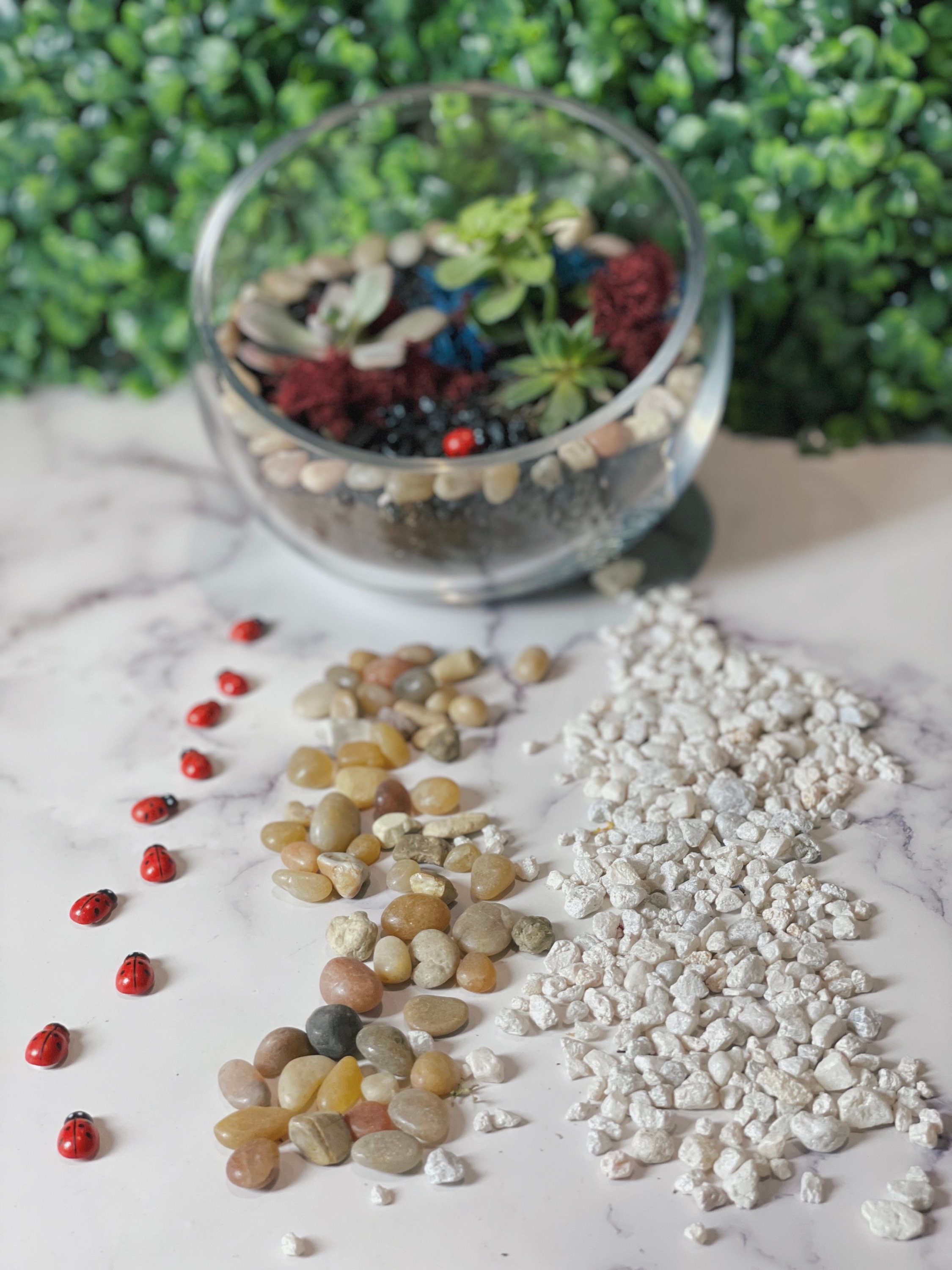 DIY Beautiful Slope Bowl Planter Kit DIY Terrarium Kit DIY - Etsy