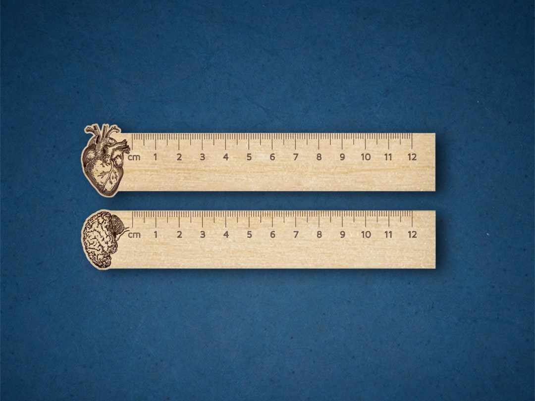 Anatomical Heart and Brain Rulers / Biology Rulers/ Science Rulers ...