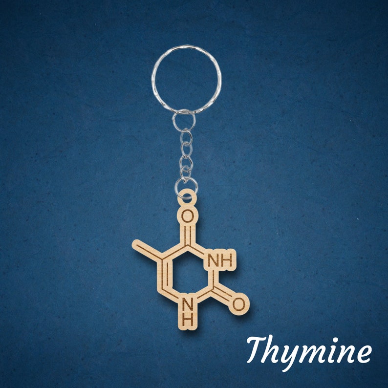 Wooden DNA Base Pair Keyrings/ Acrylic DNA Base Pair Keychains/ Biology ...