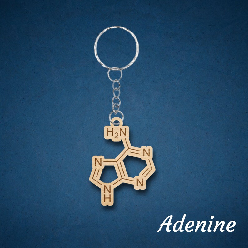 Wooden DNA Base Pair Keyrings/ Acrylic DNA Base Pair Keychains/ Biology ...