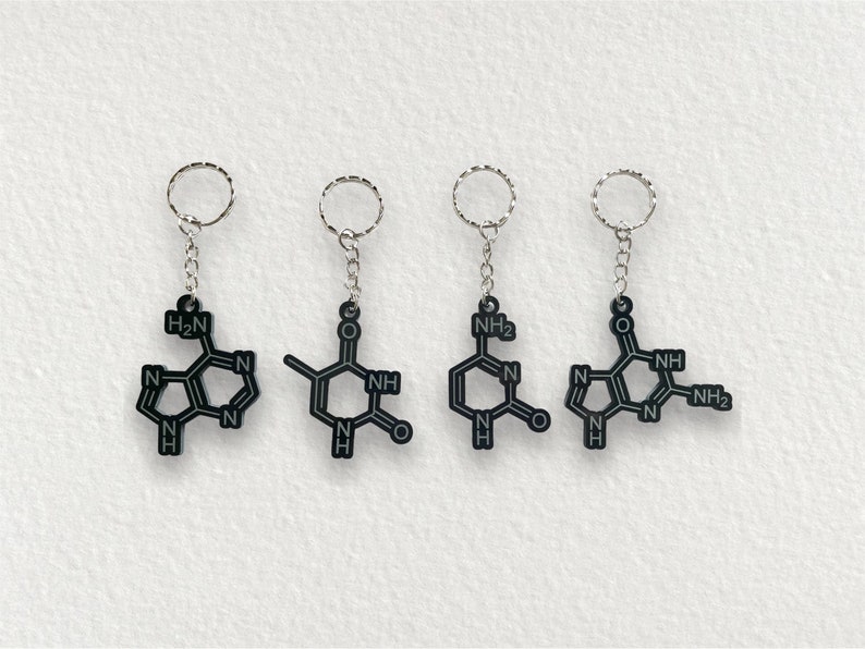 Wooden DNA Base Pair Keyrings/ Acrylic DNA Base Pair Keychains/ Biology ...