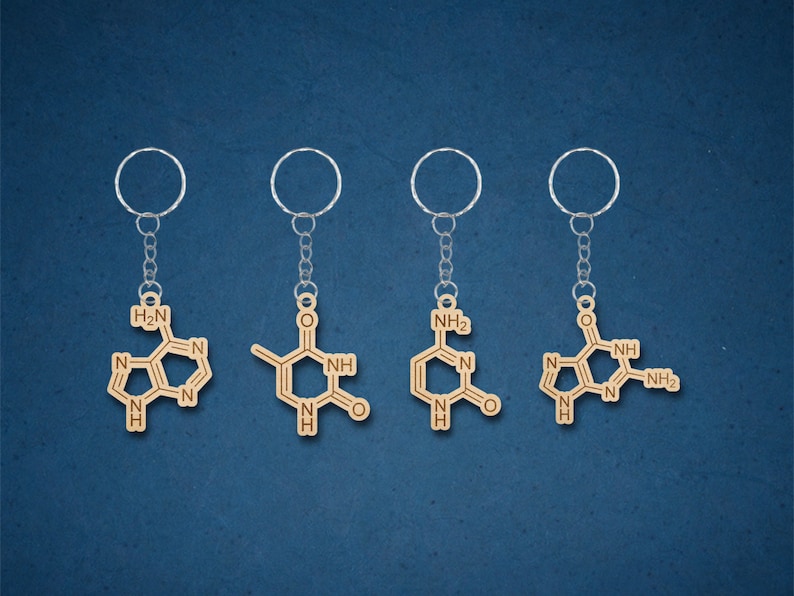 Wooden DNA Base Pair Keyrings/ Acrylic DNA Base Pair Keychains/ Biology ...