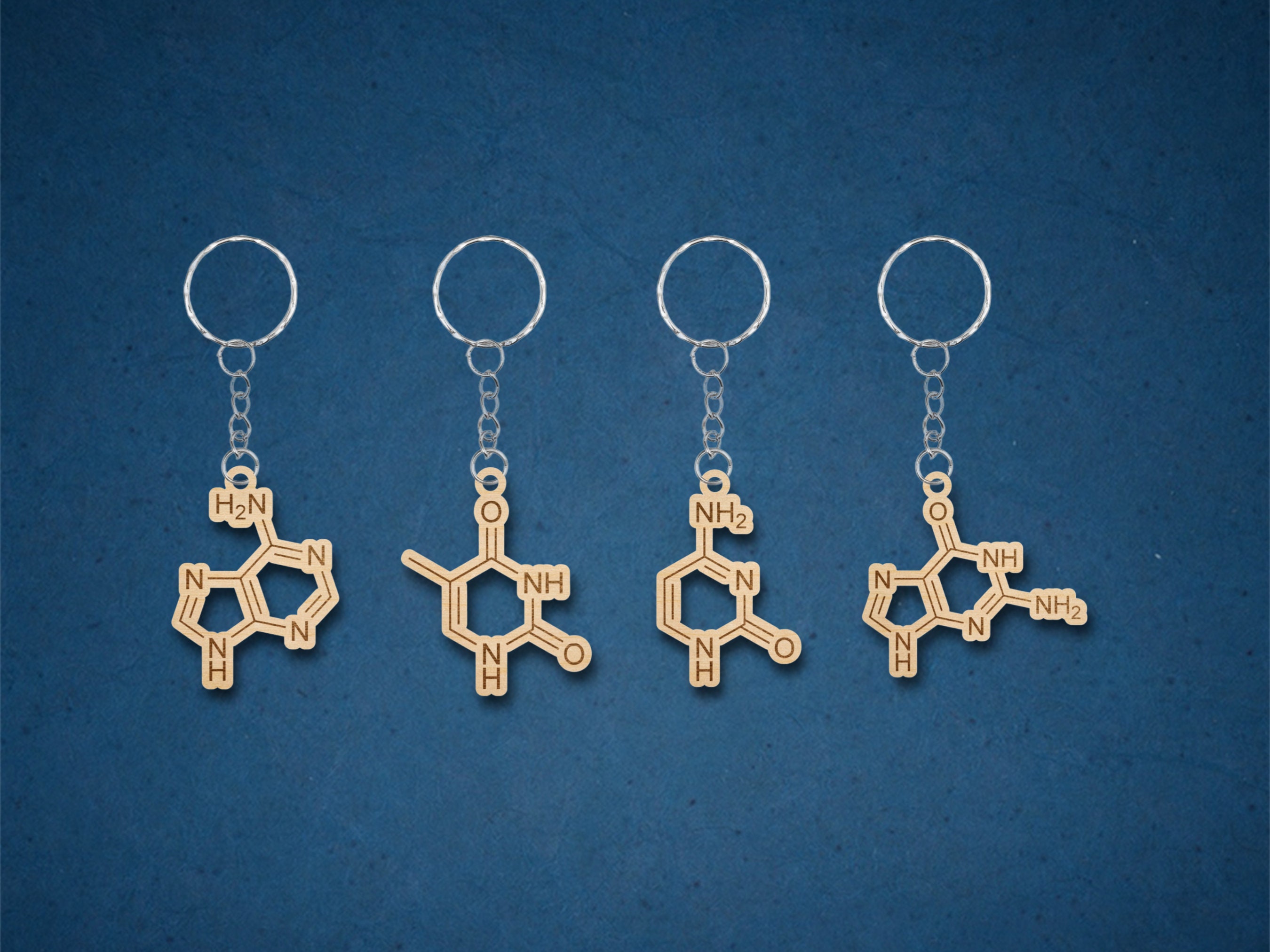 Wooden DNA Base Pair Keyrings/ Acrylic DNA Base Pair Keychains/ Biology ...