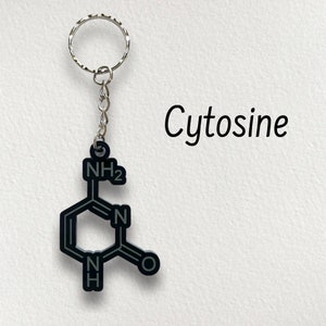 Wooden DNA Base Pair Keyrings/ Acrylic DNA Base Pair Keychains/ Biology ...