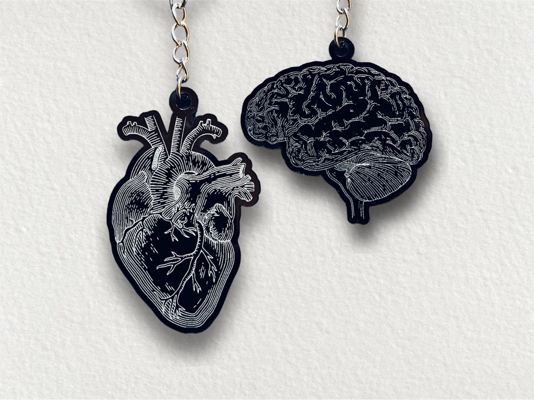 Heart and Brain Keyrings/ Heart and Brain Keychains/ Anatomy - Etsy