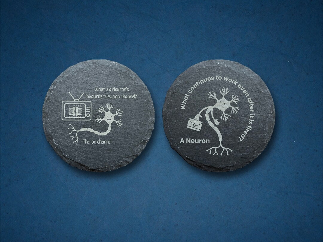 Engraved Slate Neuroscience Joke Coasters/ Biology Coasters ...