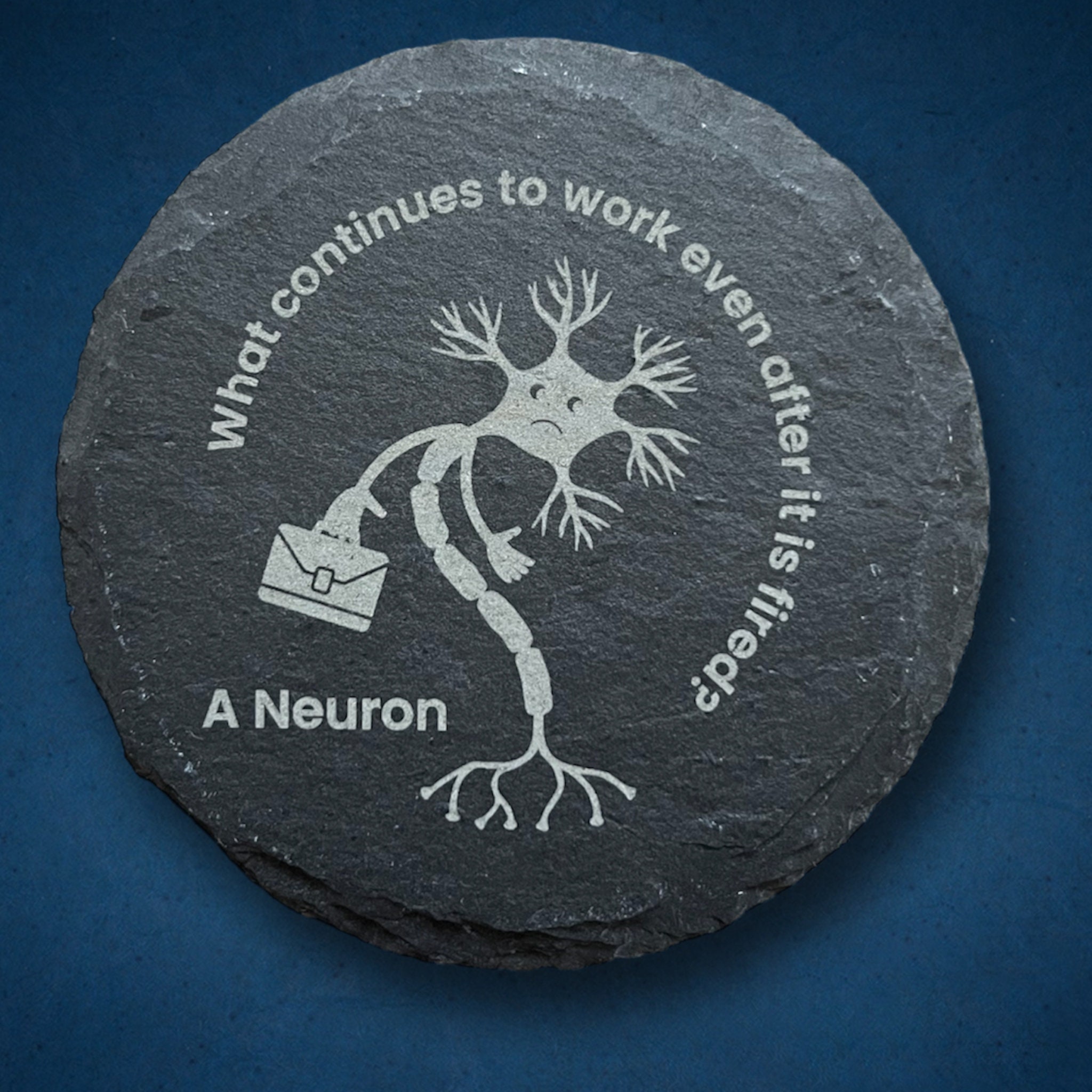 Engraved Slate Neuroscience Joke Coasters/ Biology Coasters ...