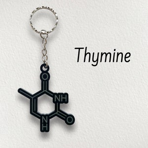 Wooden DNA Base Pair Keyrings/ Acrylic DNA Base Pair Keychains/ Biology ...