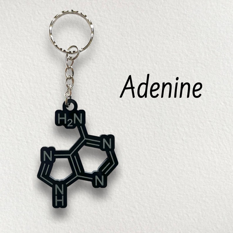 Wooden DNA Base Pair Keyrings/ Acrylic DNA Base Pair Keychains/ Biology ...