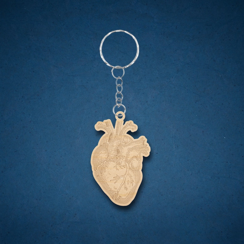 Heart and Brain Keyrings/ Heart and Brain Keychains/ Anatomy Keychains ...