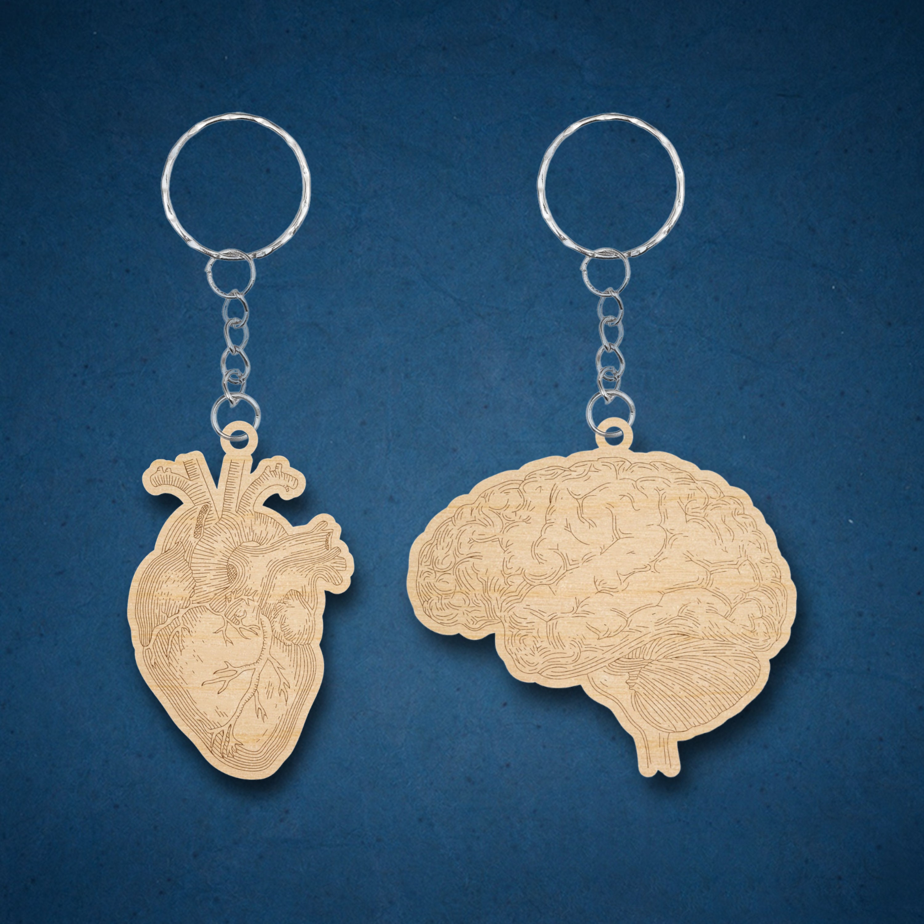 Heart and Brain Keyrings/ Heart and Brain Keychains/ Anatomy Keychains ...