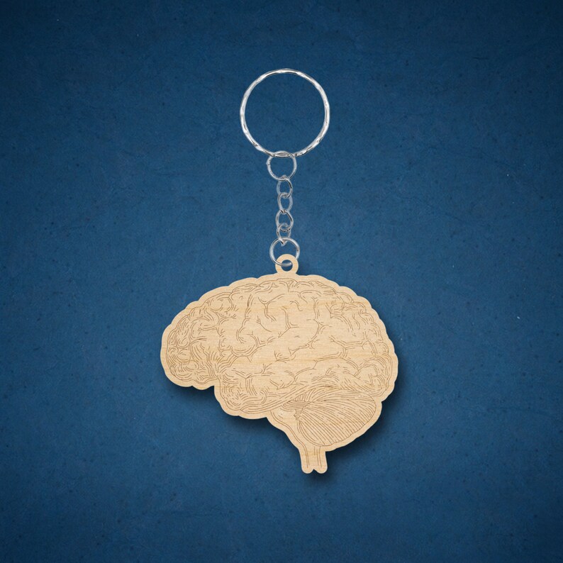 Heart and Brain Keyrings/ Heart and Brain Keychains/ Anatomy Keychains ...