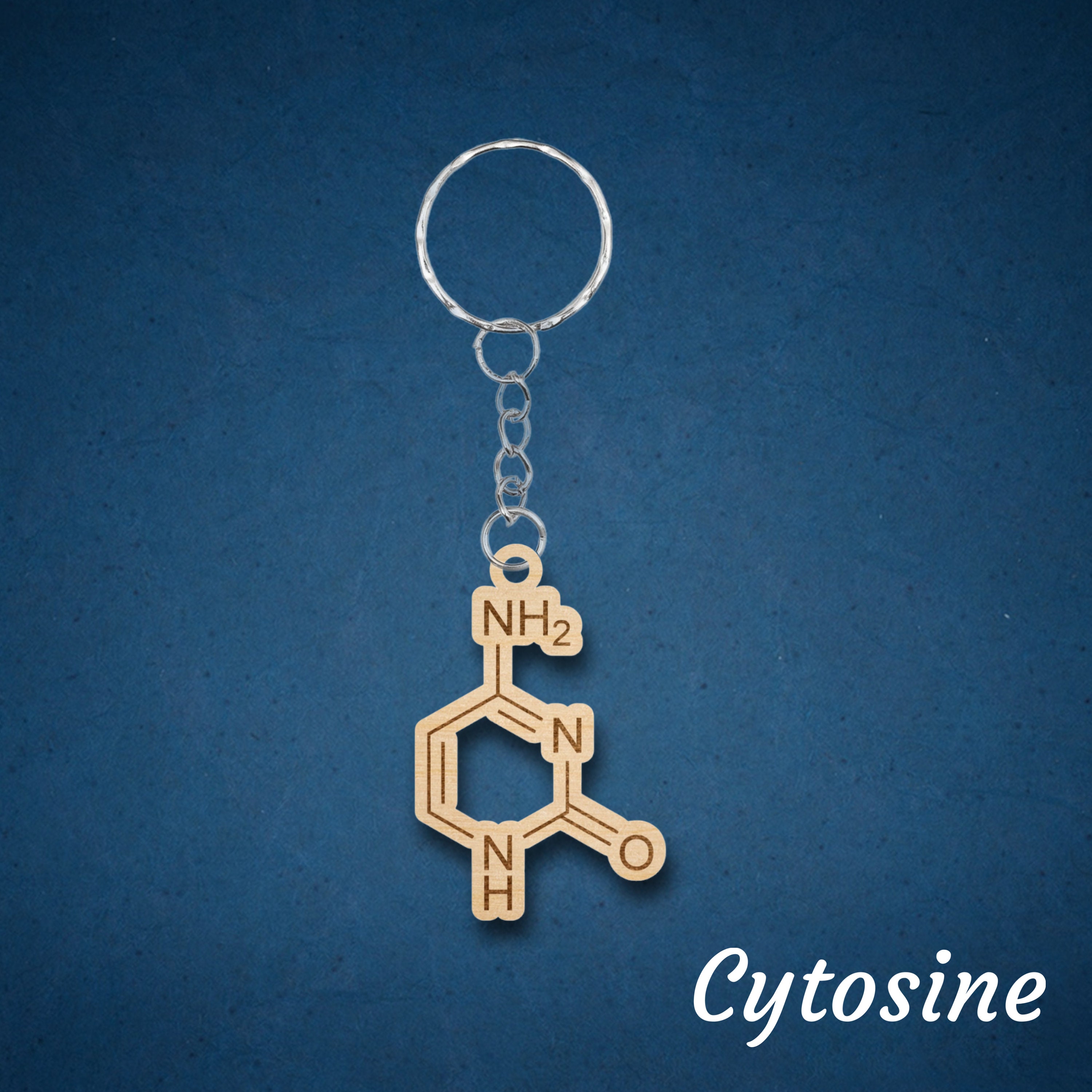 Wooden DNA Base Pair Keyrings/ Acrylic DNA Base Pair Keychains/ Biology ...