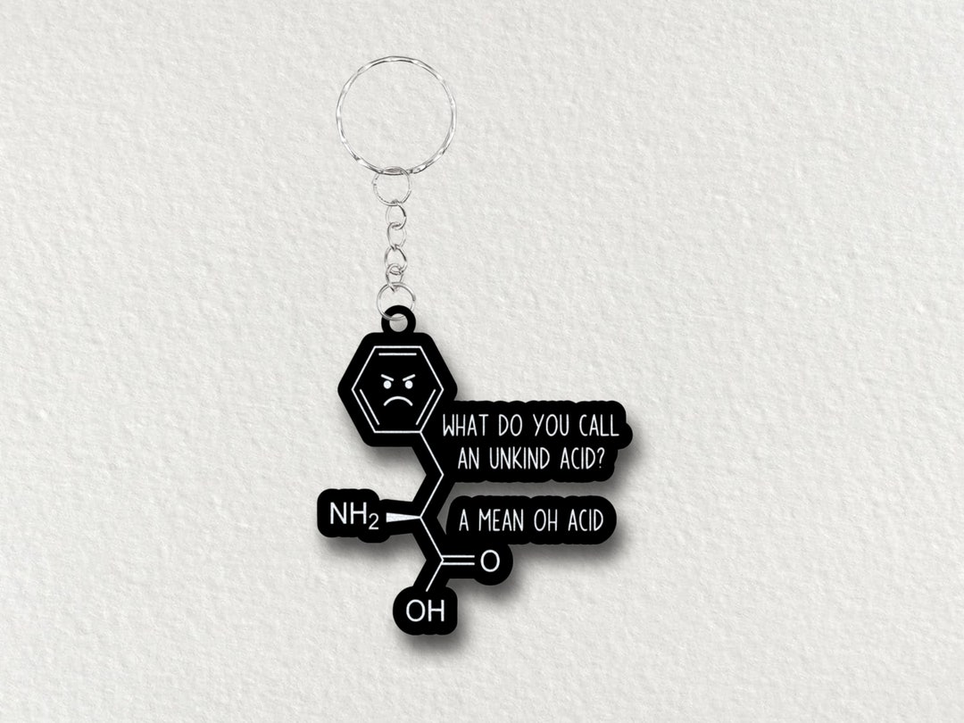 Acrylic Amino Acid Joke Keyring/ Amino Acid Keychain/ Biology Keyring ...