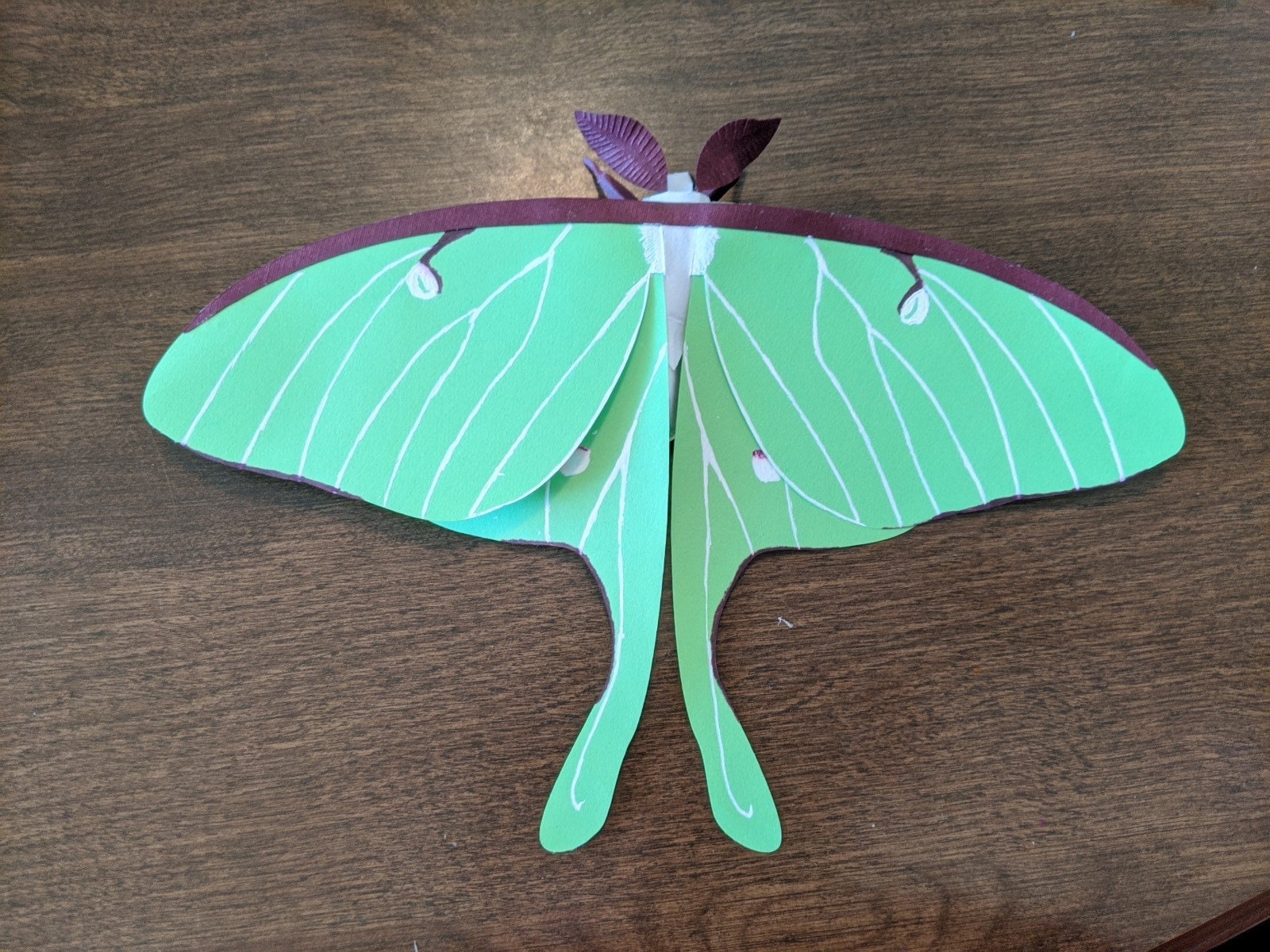 Luna Moth DIY Digital, Papercraft, Cricut Cutting Machine Pattern - Etsy