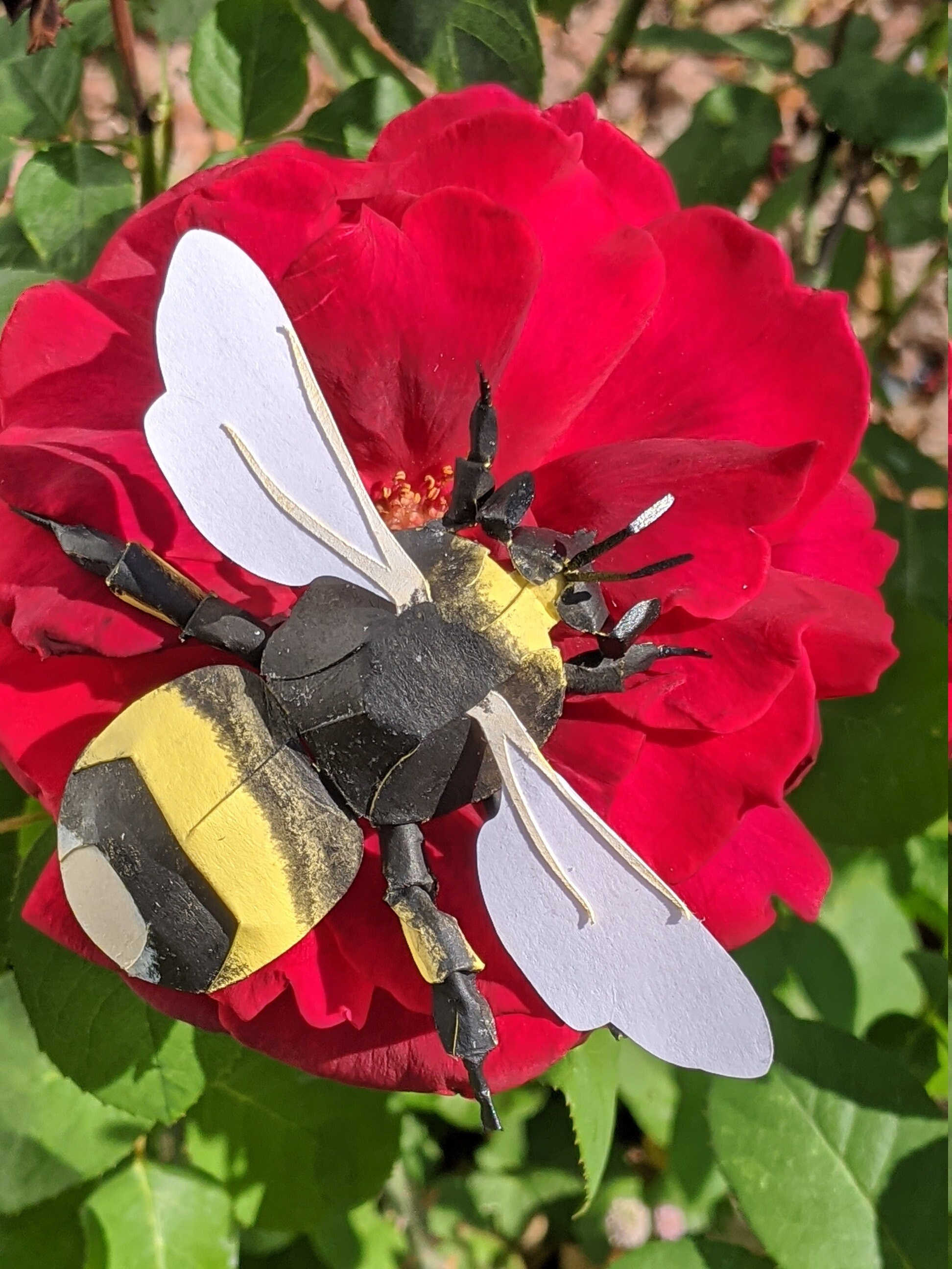 Bumblebee Diy Digital Papercraft Cricut Cutting Machine Etsy