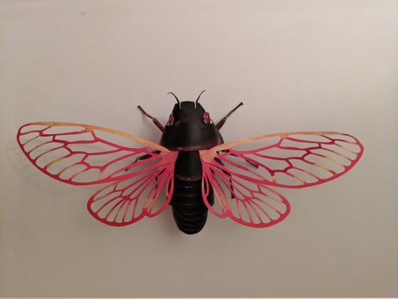 Cicada DIY Digital Papercraft Cricut Cutting Machine Pattern | Etsy