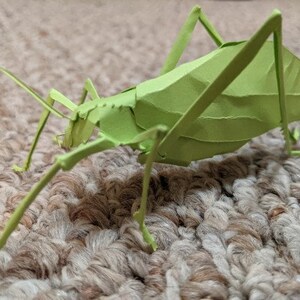 Katydid Bug DIY Papercraft Digital Puzzle Cardstock Kit - Etsy