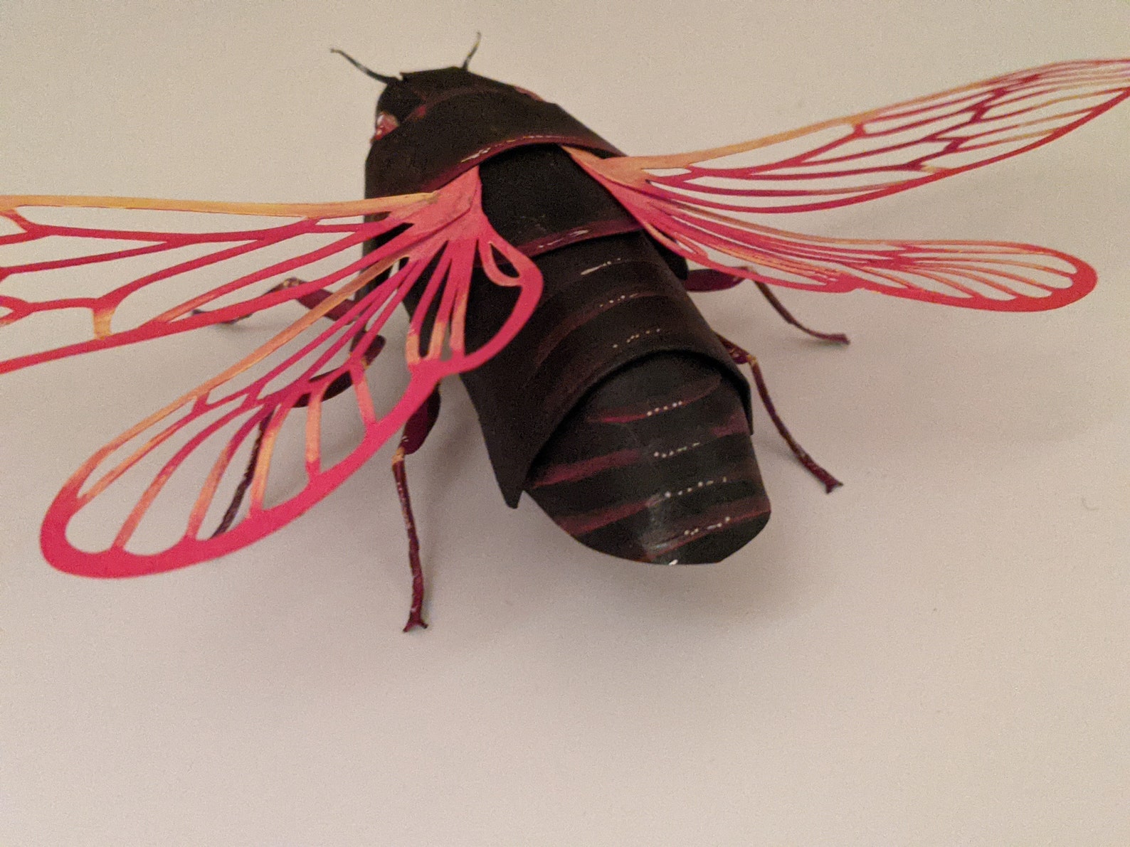 Cicada DIY Digital, Papercraft, Cricut Cutting Machine Pattern - Etsy UK