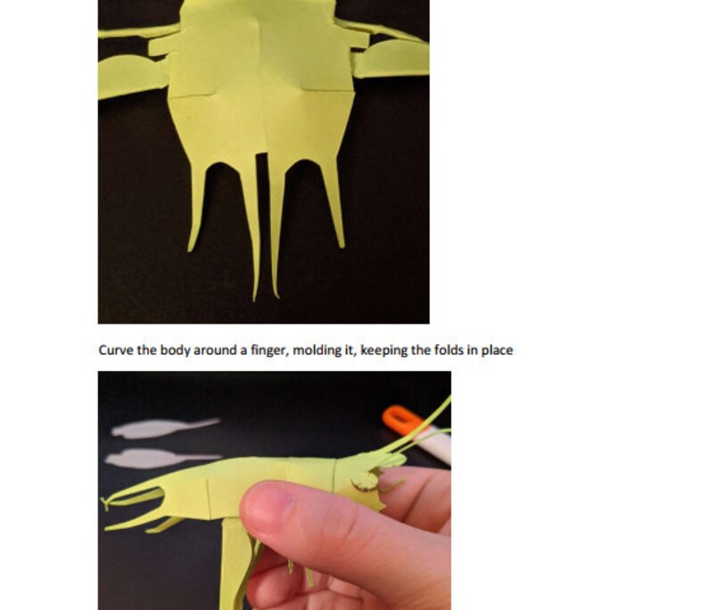 Cricket Digital Papercraft Pattern Cricut Cutting Machine | Etsy