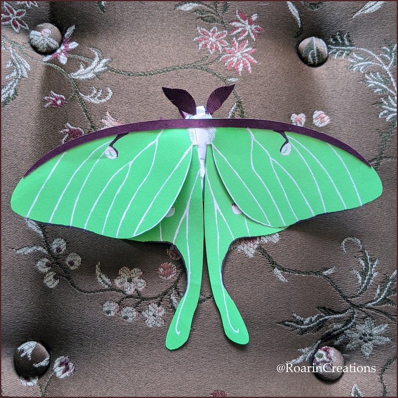 Luna Moth DIY Digital, Papercraft, Cricut Cutting Machine Pattern - Etsy