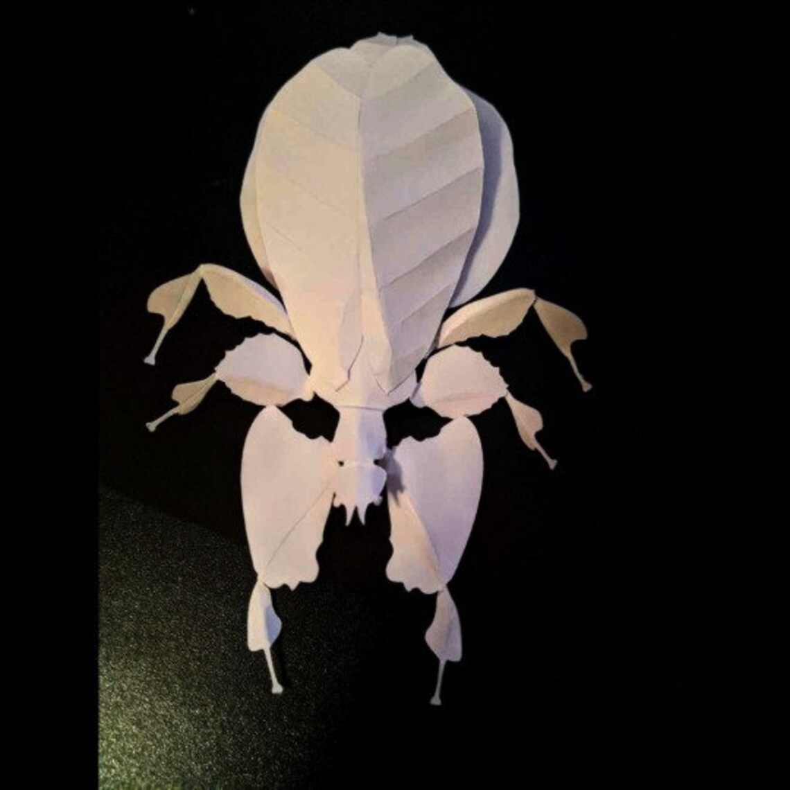 Leaf Insect DIY Digital Papercraft Cricut Cutting Machine | Etsy