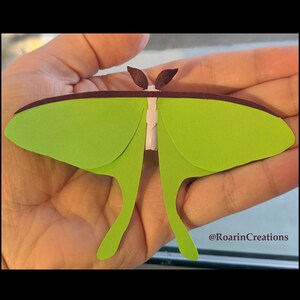 Luna Moth DIY Digital, Papercraft, Cricut Cutting Machine Pattern - Etsy
