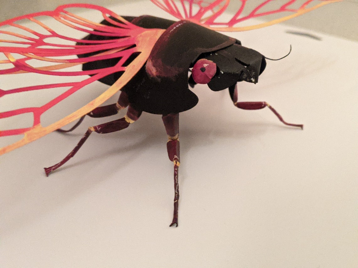 Cicada DIY Digital, Papercraft, Cricut Cutting Machine Pattern - Etsy UK
