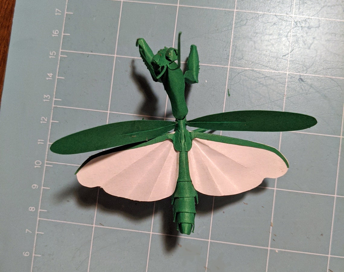Praying Mantis DIY Digital, Papercraft, Cricut Cutting Machine Pattern ...