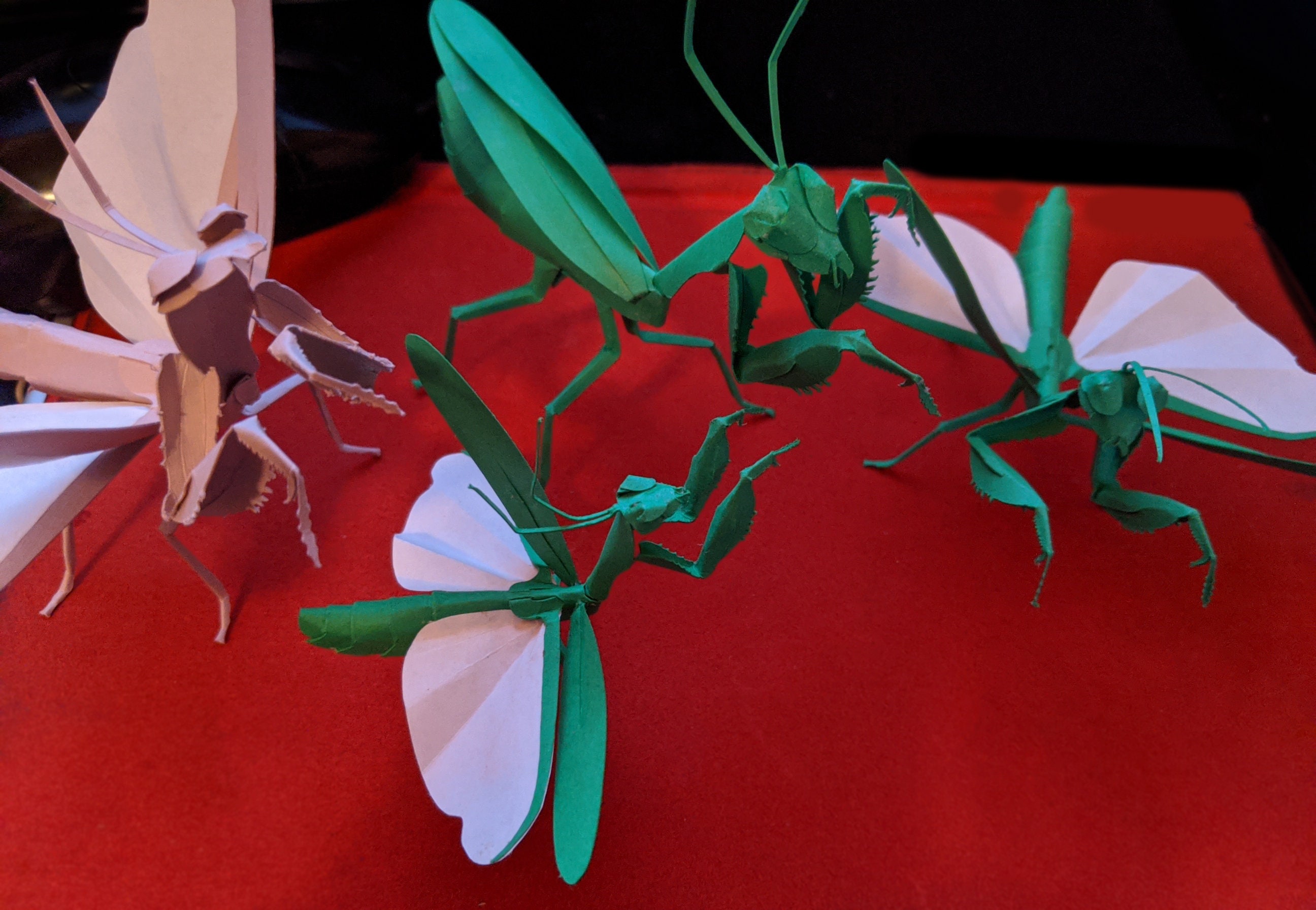 Praying Mantis DIY | Etsy