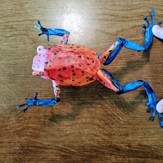 Poison Dart Frog DIY Digital Papercraft Cricut Cutting - Etsy