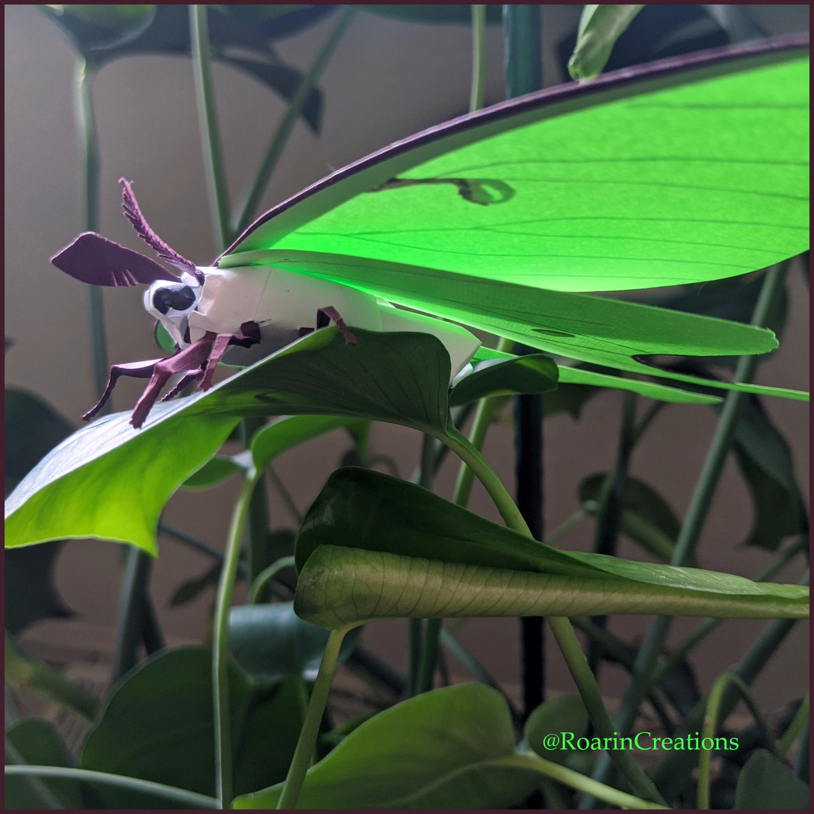 Luna Moth DIY Digital, Papercraft, Cricut Cutting Machine Pattern - Etsy