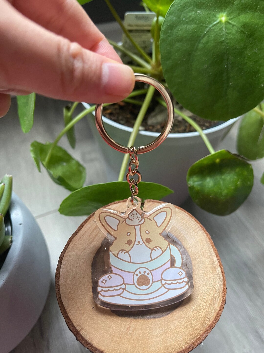 Cute Animal Cafe Acryclic - Corgi Keychain - Cute Shark Keychain- Cute ...