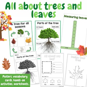 All About Trees and Leaves - Investigation Science Center for Preschool ...