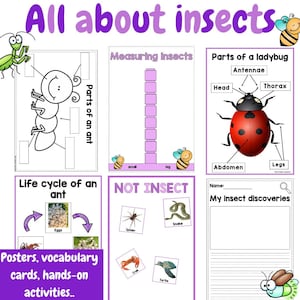 All About Insects and Minibeasts - Investigation Science Center for ...