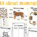 Polar Animals Classroom Posters - Etsy