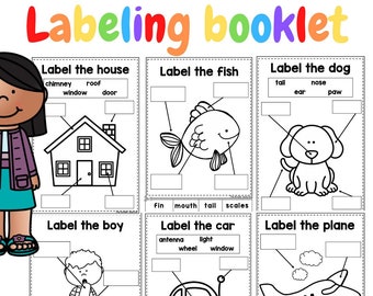 CVC Words Booklet - Etsy