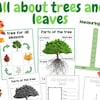 All About Trees and Leaves - Investigation Science Center for Preschool ...