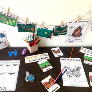 All About Butterflies - Investigation Science Center for Preschool - Etsy