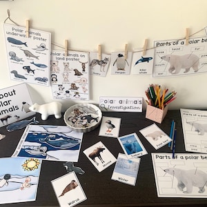 All About Polar Animals- Investigation Science Center for Preschool - Etsy