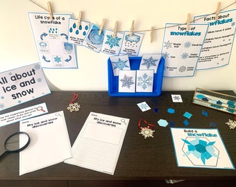 All About Insects and Minibeasts Investigation Science Center for ...