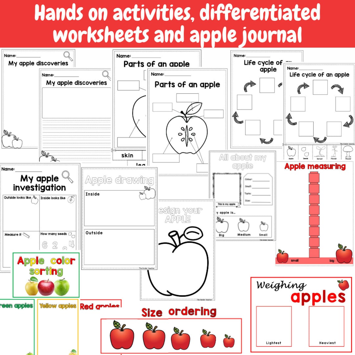 All About Apples - Investigation Science Center for Preschool - Etsy