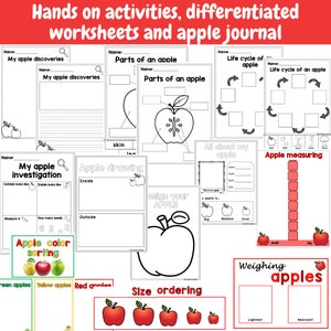All About Apples - Investigation Science Center for Preschool - Etsy