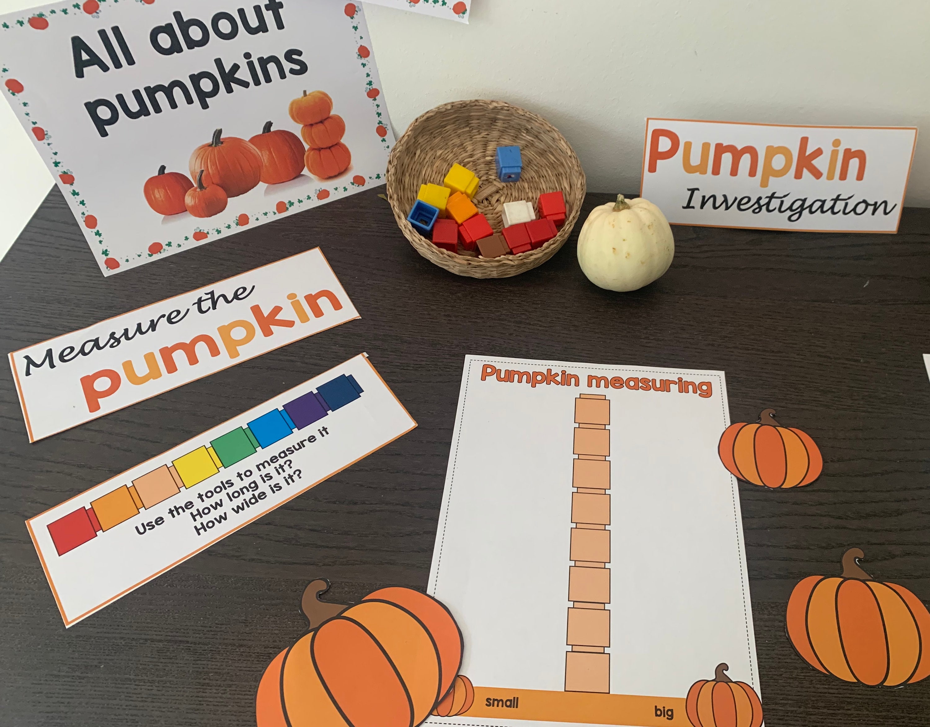 All About Pumpkins - Investigation Science Center for Preschool - Etsy